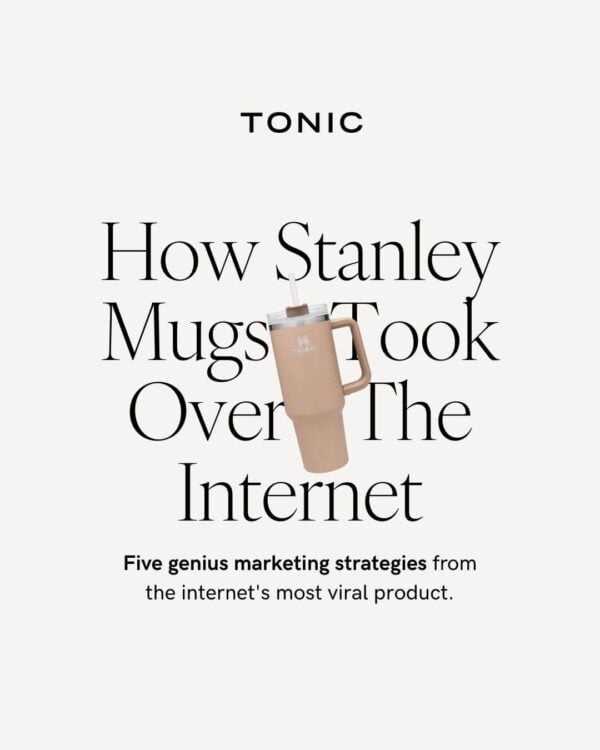 5 Genius Marketing Strategies: How Stanley Mugs Took Over the Internet ...